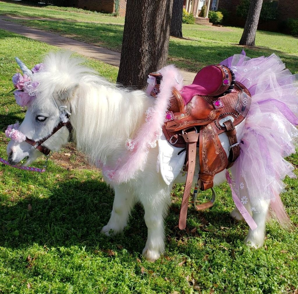 Unicorn Parties - Trousdale Acres Tiny Hineys Travelin Farm